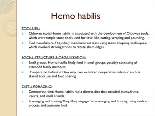 EVOLUTION OF HUMAN RACE new .pptx