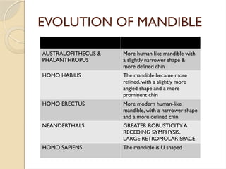 EVOLUTION OF HUMAN RACE new .pptx