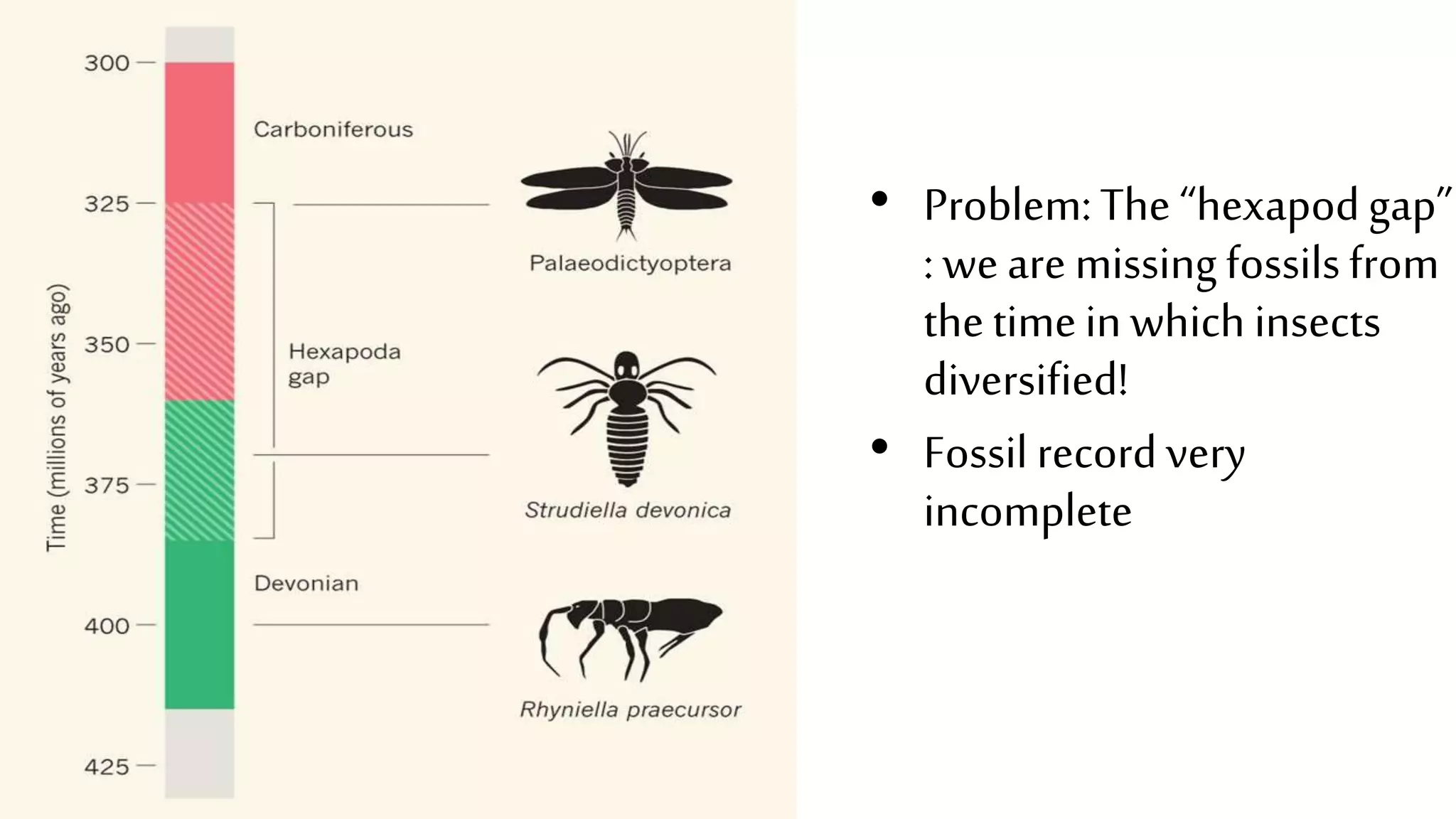 The Evolution of Insects: Introduction / Ordovician to Permian - Bug ...
