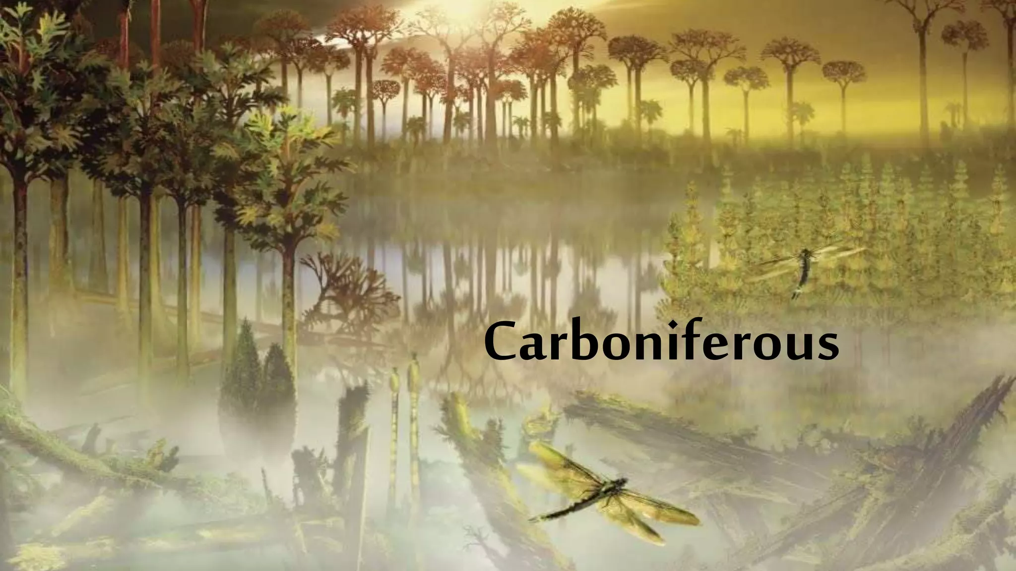 The Evolution of Insects: Introduction / Ordovician to Permian - Bug ...