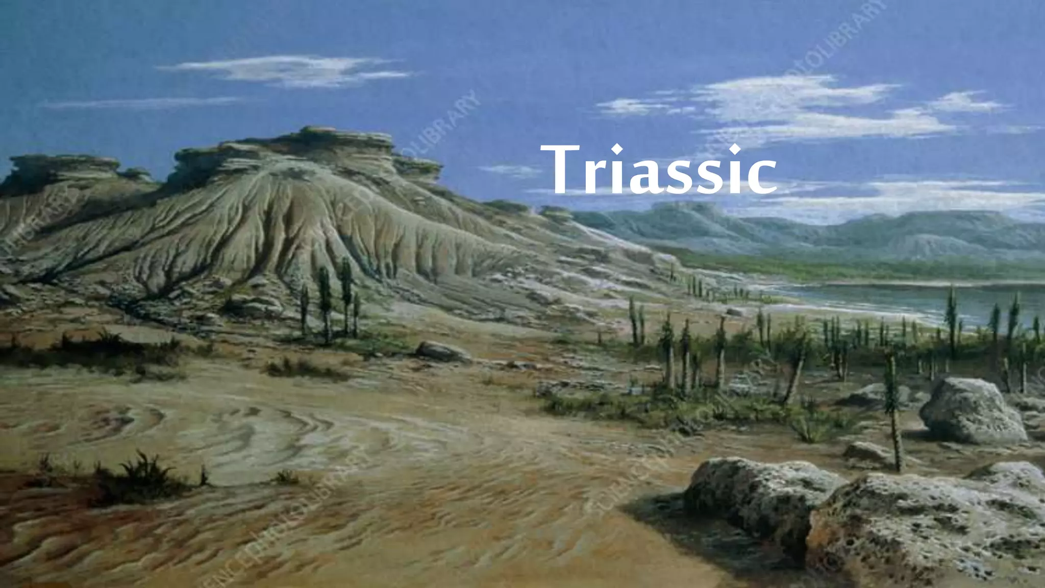 The Evolution of Insects: Introduction / Ordovician to Permian - Bug ...