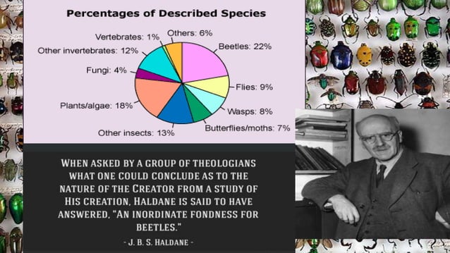The Evolution of Insects: Introduction / Ordovician to Permian - Bug ...