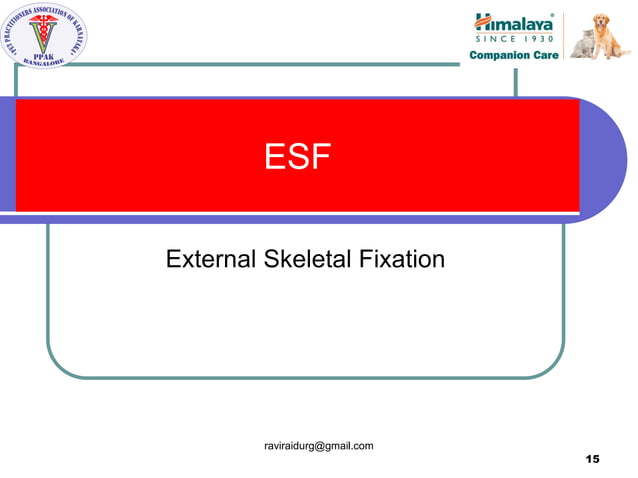 Evolution of internal fixation ravi raidurg. | PDF