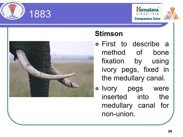 Evolution of internal fixation ravi raidurg. | PDF