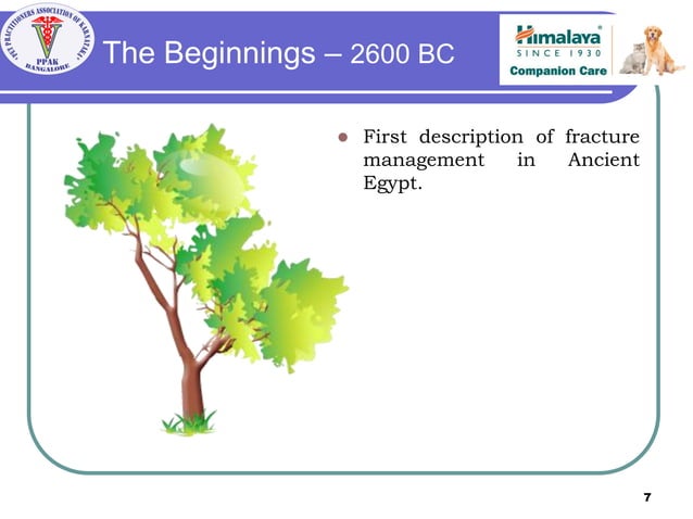 Evolution of internal fixation ravi raidurg. | PDF