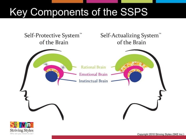 Evolution of Jung's Typology and the MBTI | PPT | Science
