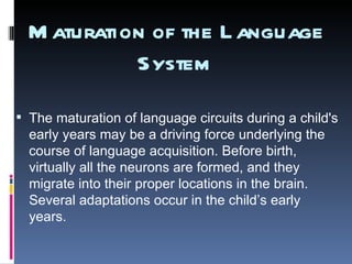 Evolution of language | PPT