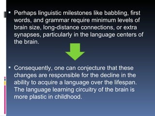 Evolution of language | PPT