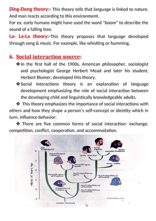 Evolution of language in primates Animal behaviour | DOCX