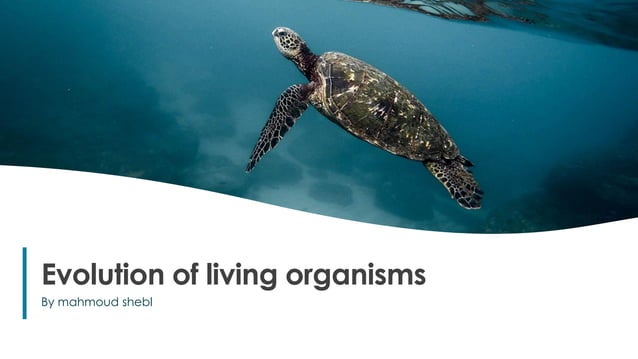 Evolution of living organisms | PDF | Biological Sciences | Science