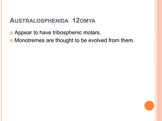 Evolution of mammamls | PPTX
