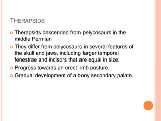 Evolution of mammamls | PPTX