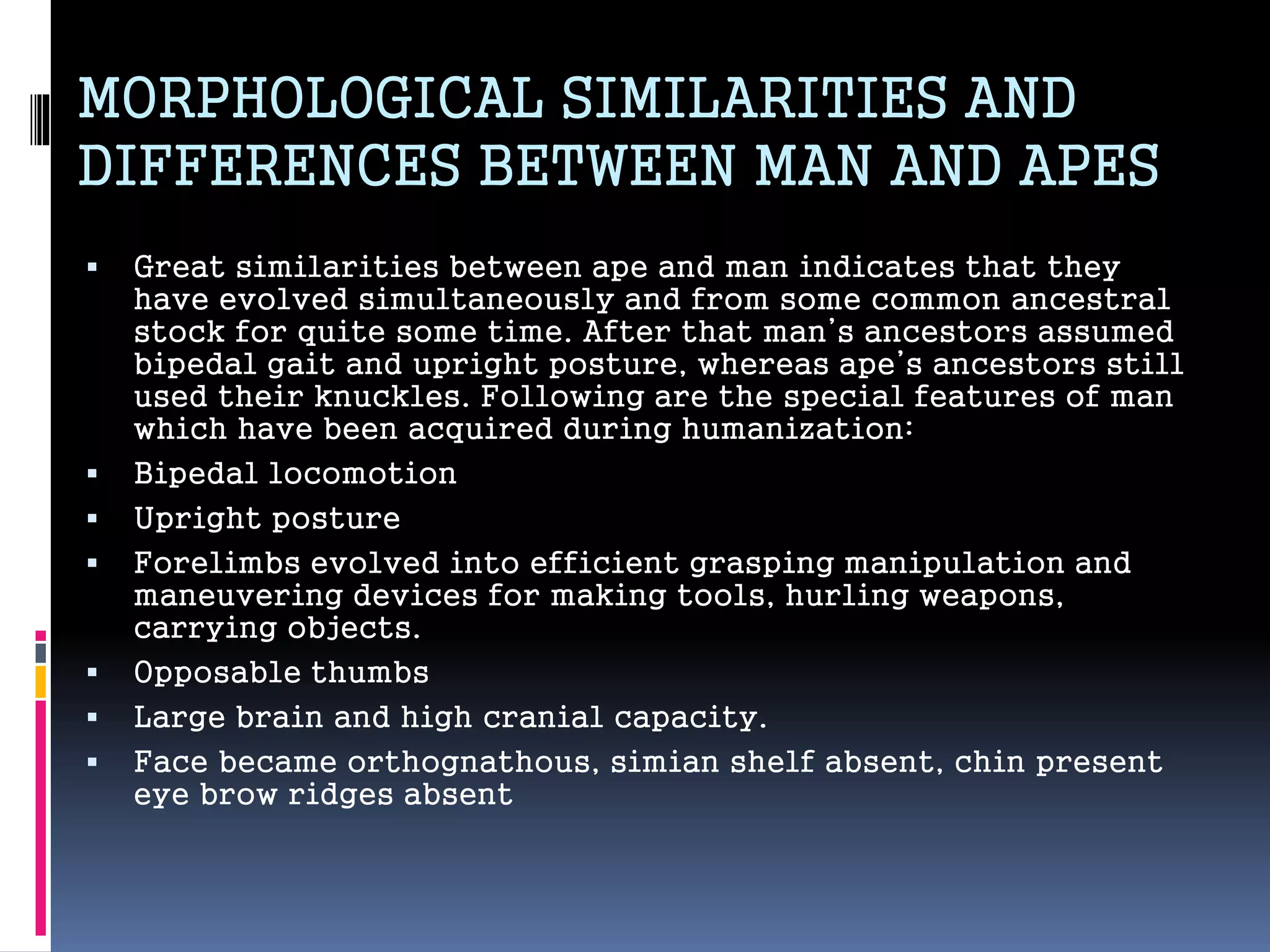 Evolution of man | PPTX
