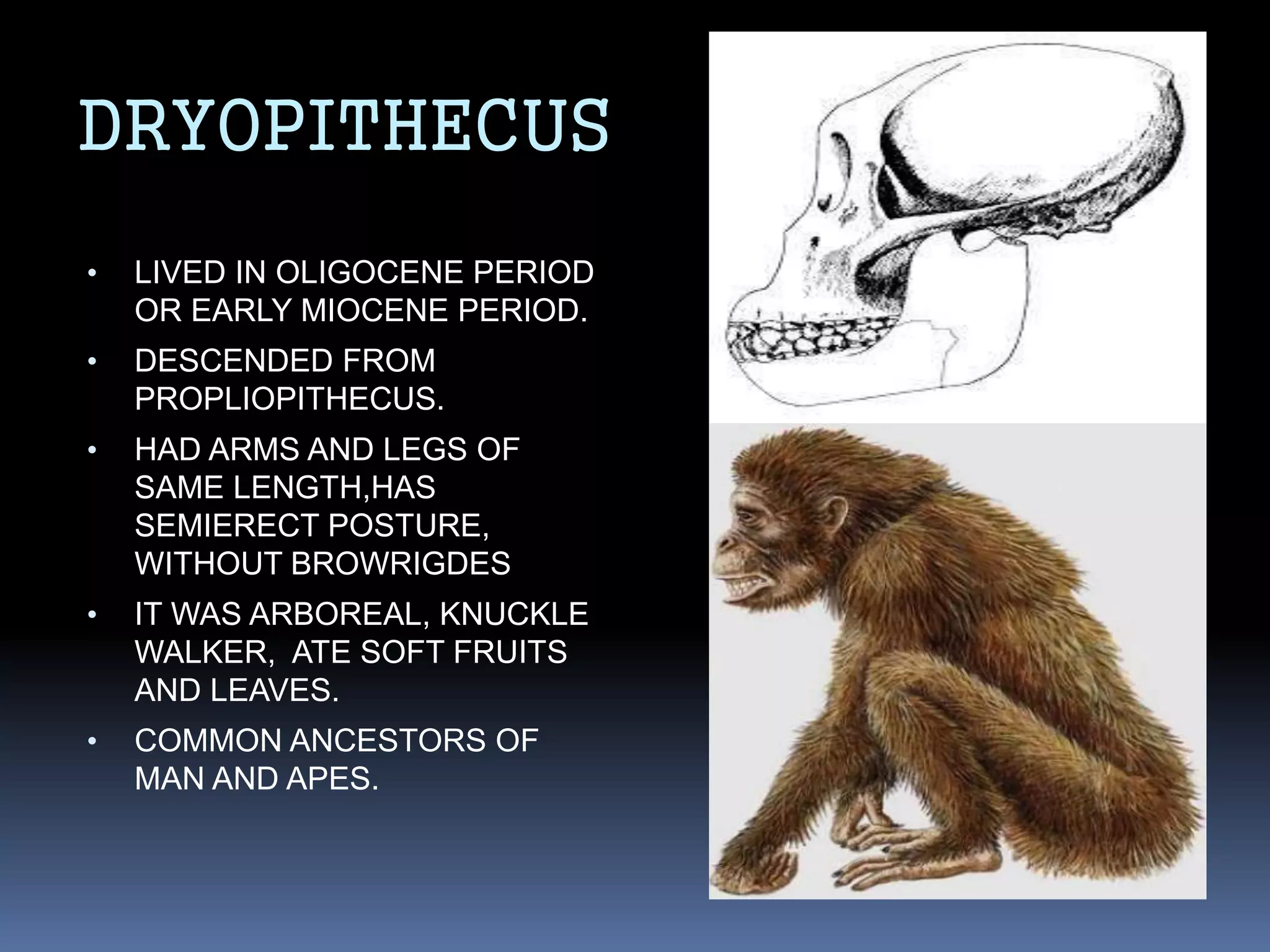 Evolution of man | PPTX