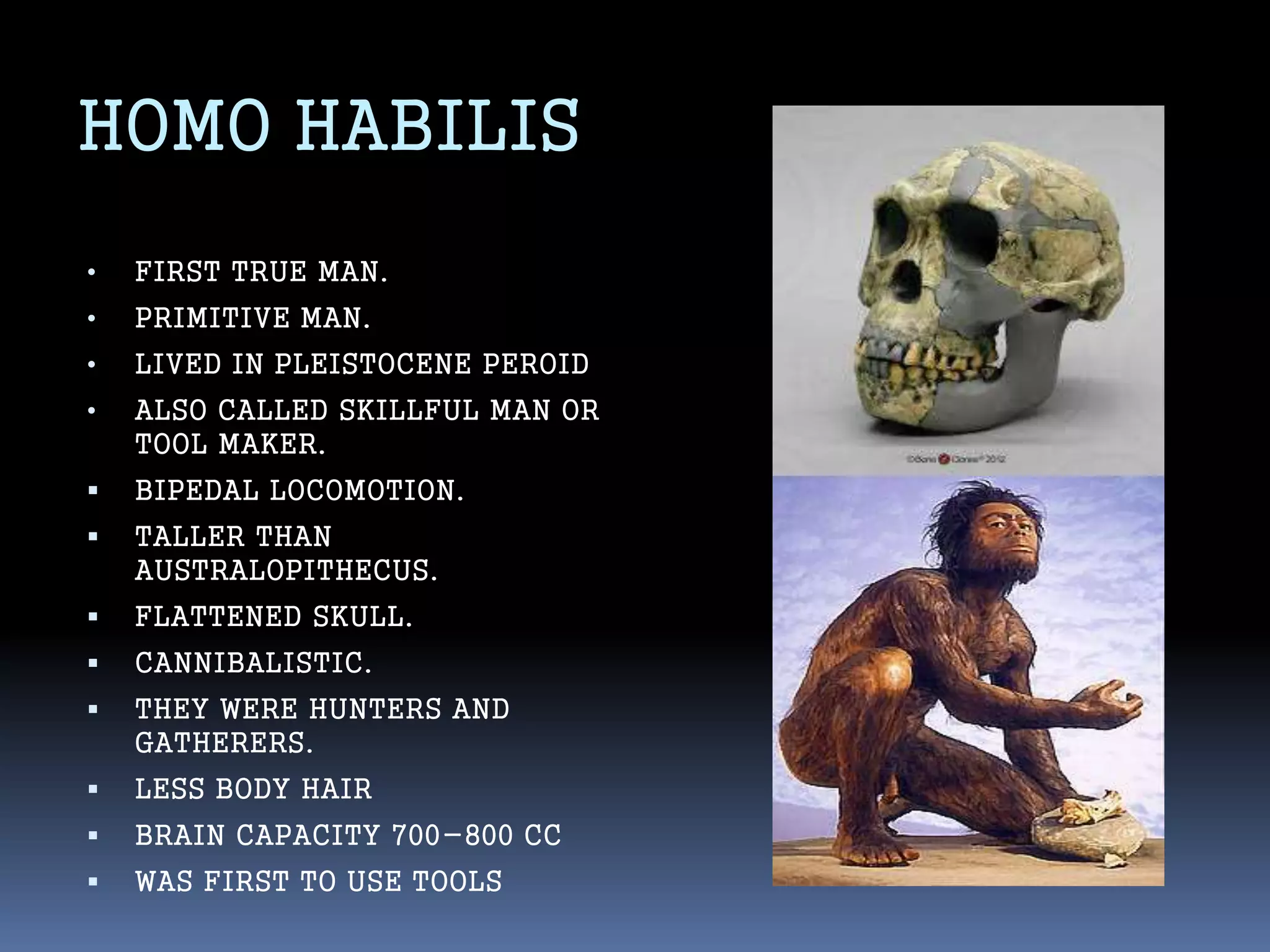 Evolution of man | PPTX