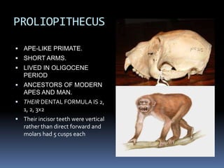 Evolution of man | PPTX