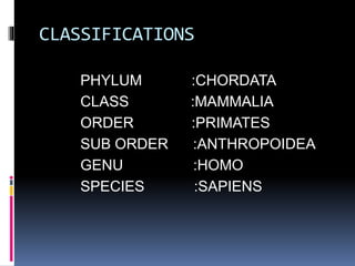 Evolution of man | PPTX