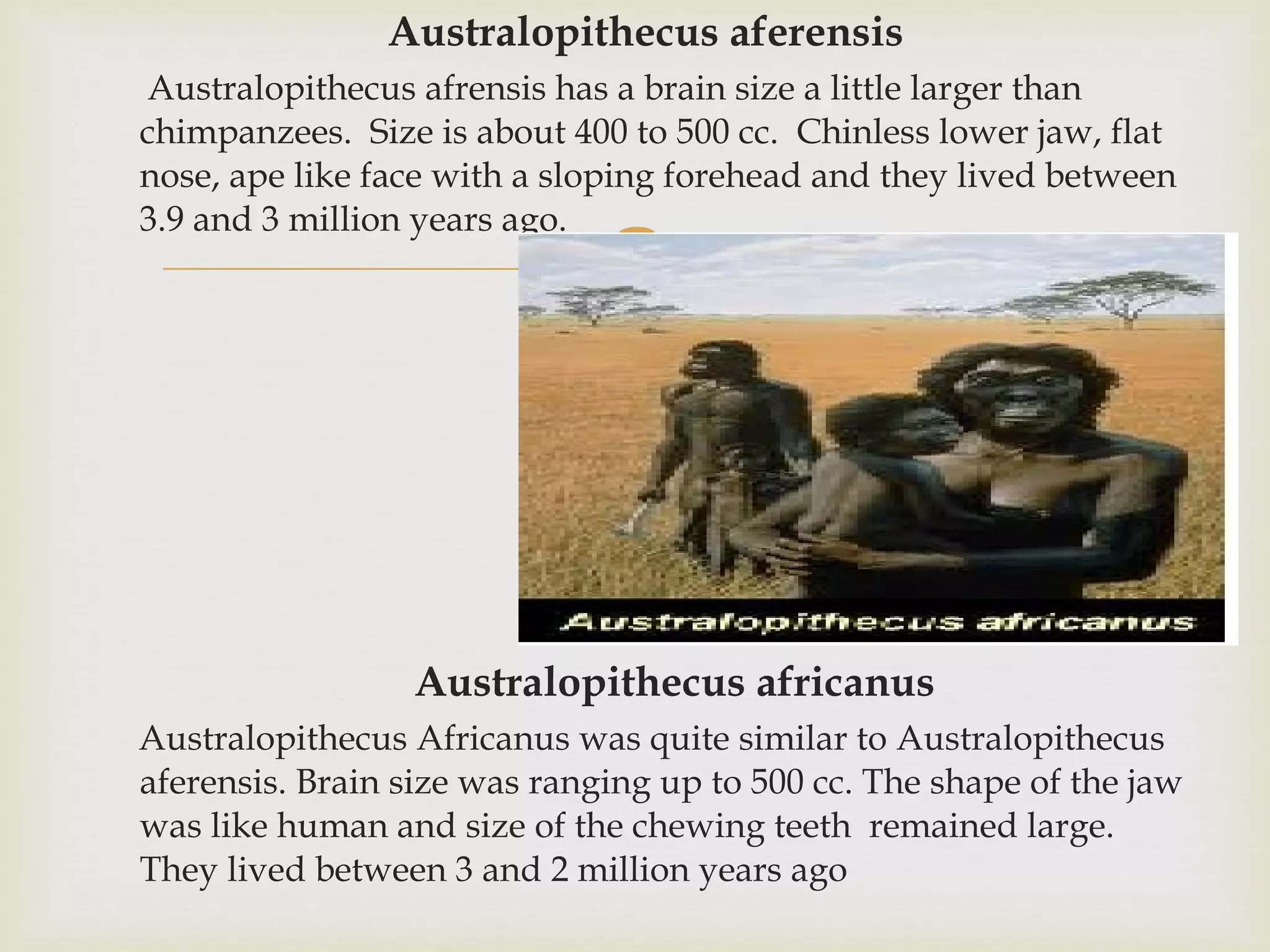 Evolution of man | PPT