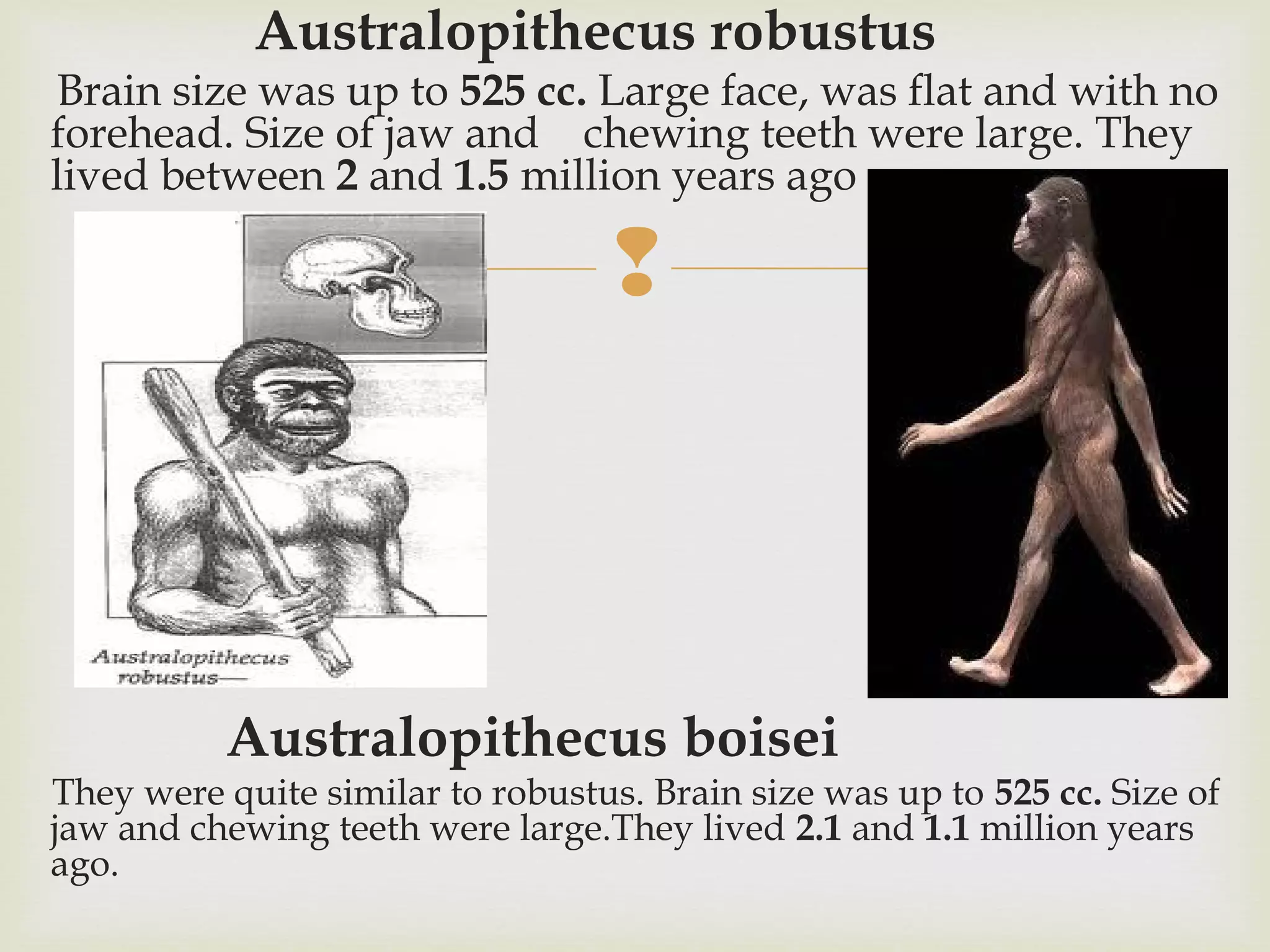 Evolution of man | PPT
