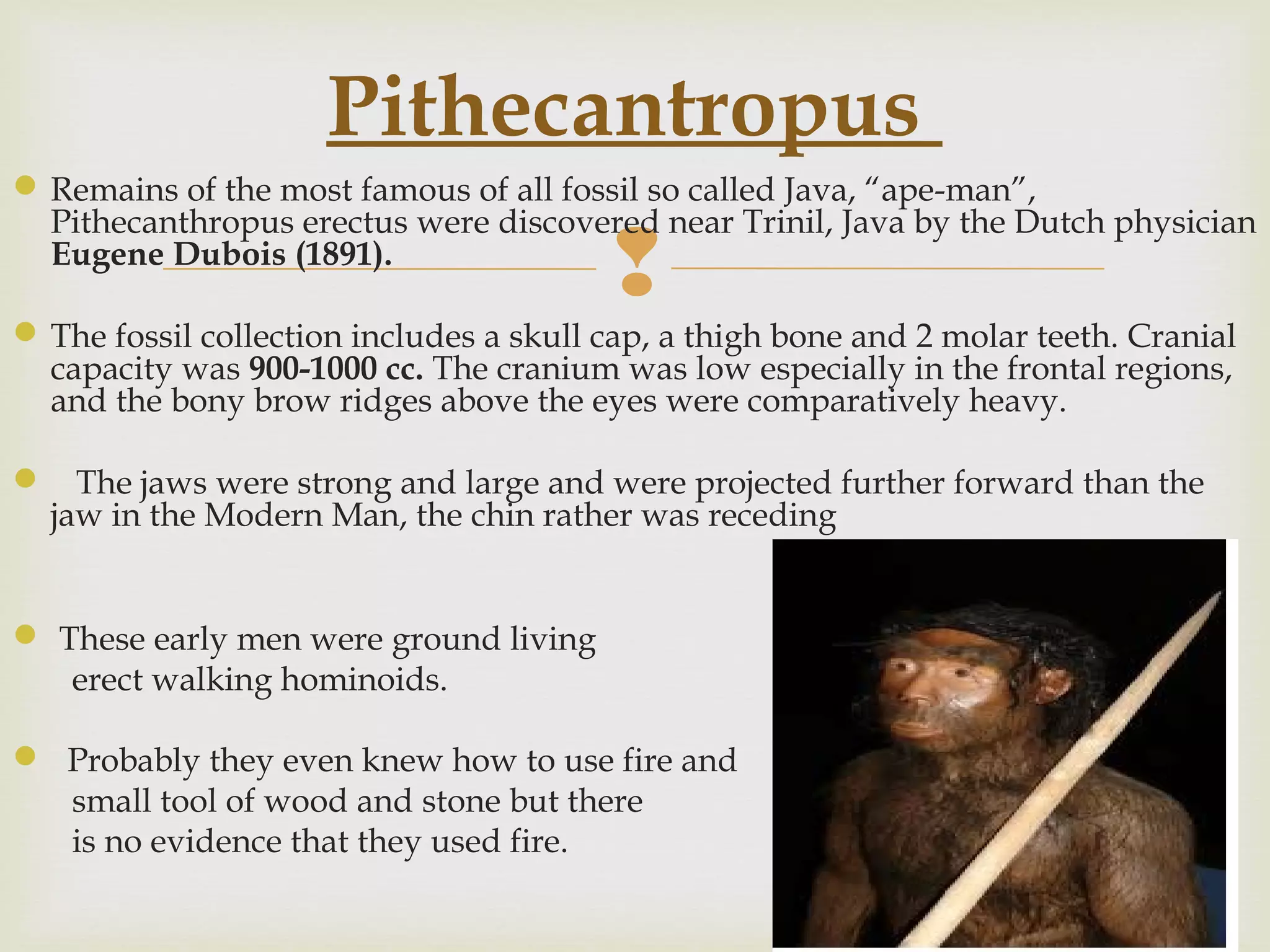 Evolution of man | PPT
