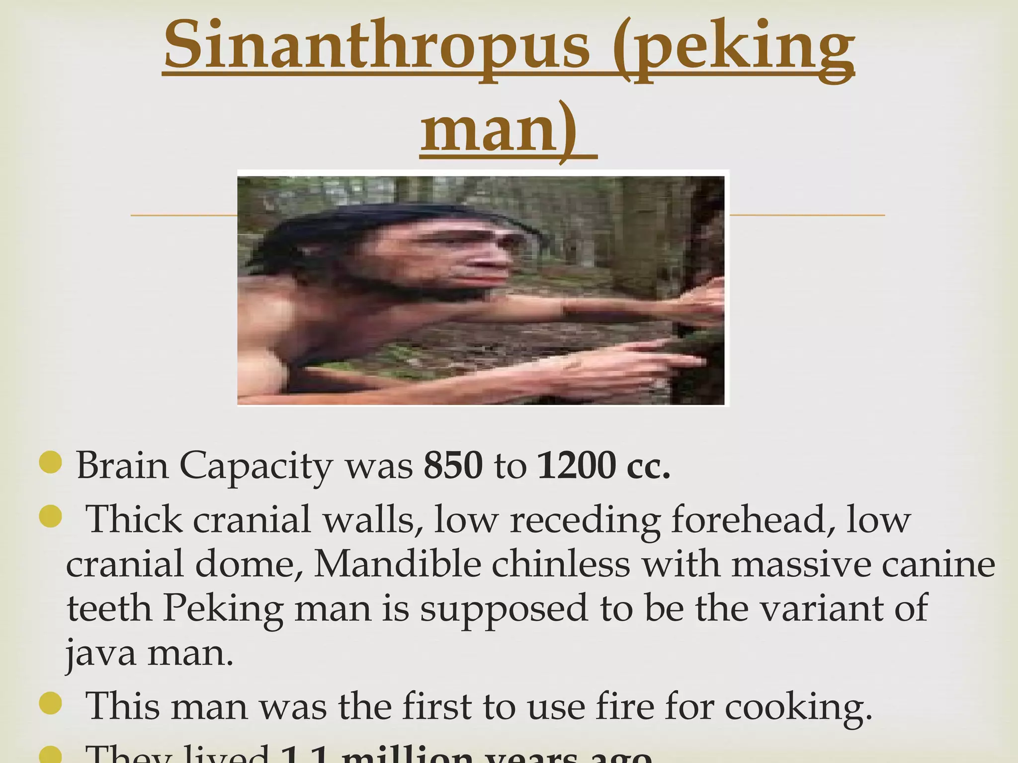 Evolution of man | PPT
