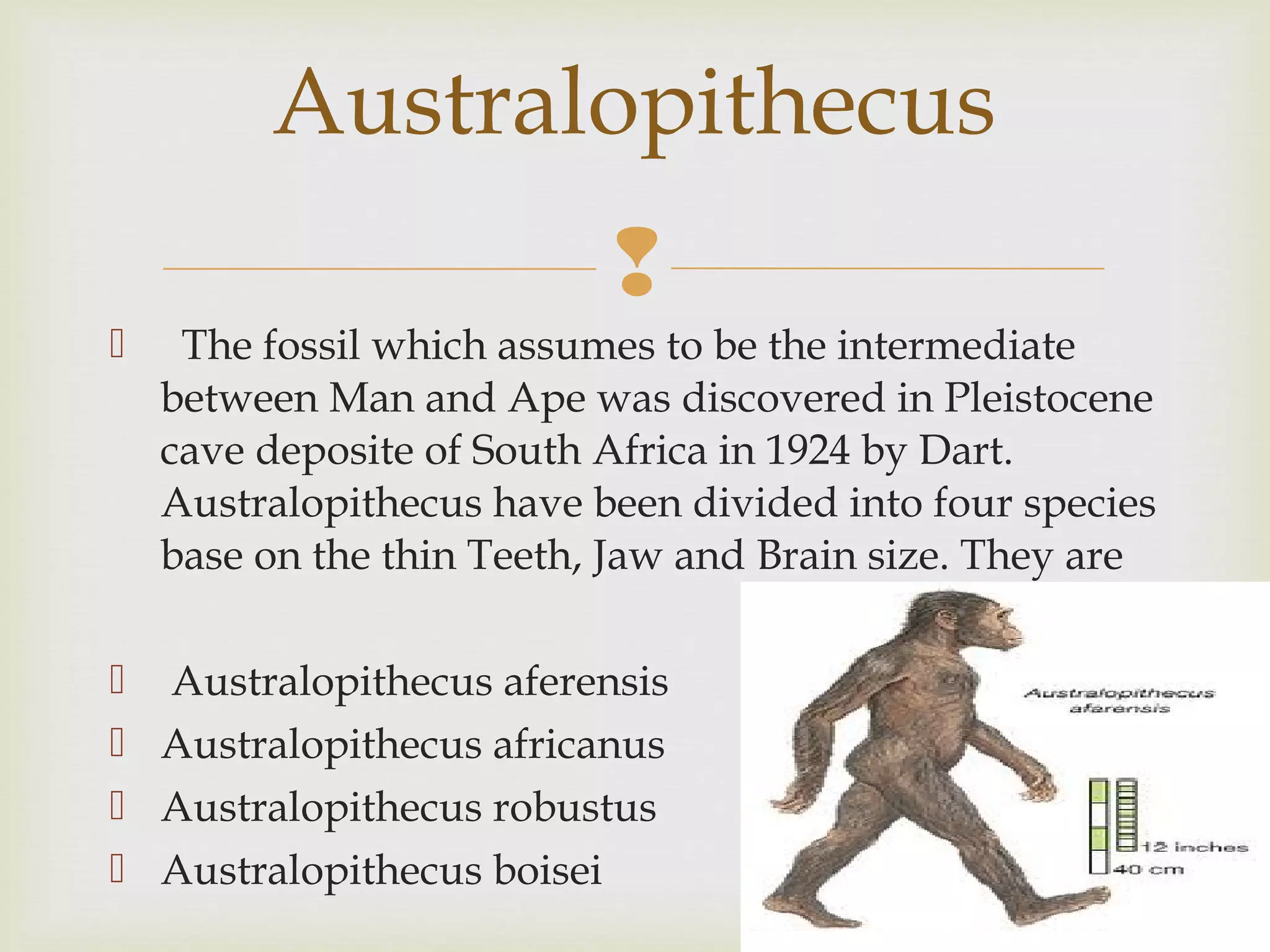 Evolution of man | PPT