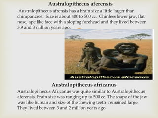 Evolution of man | PPT