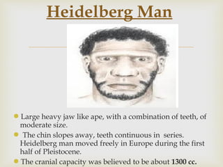 Evolution of man | PPT