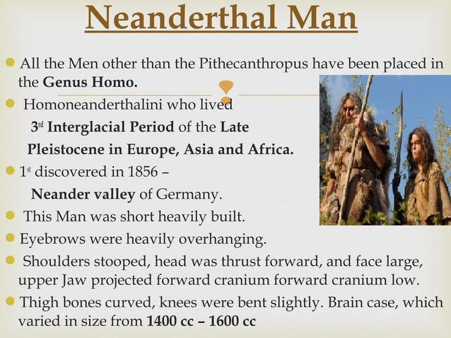 Evolution of man | PPT | Large Animals | Pets