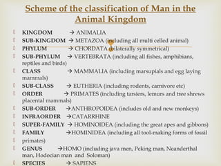 Evolution of man | PPT