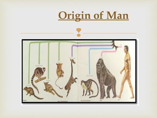 Evolution of man | PPT