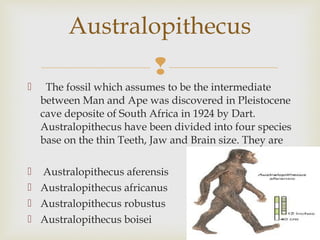 Evolution of man | PPT