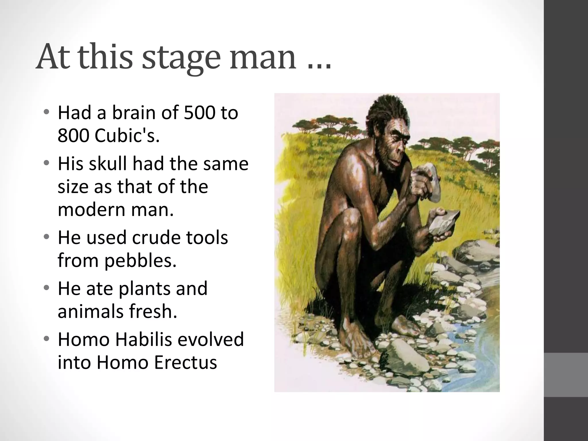 Evolution of Man (form one) | PPTX