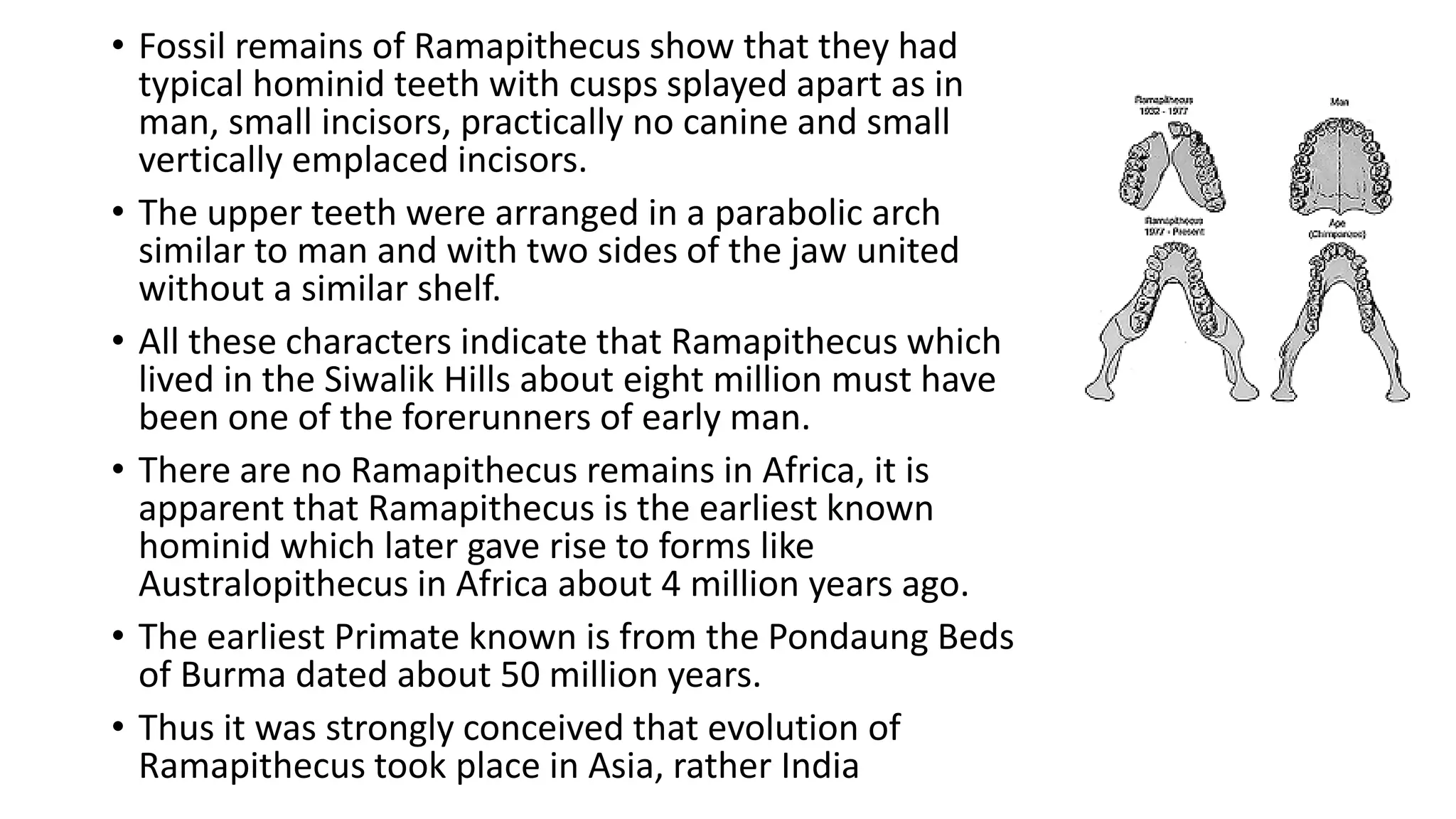 Evolution of man | PDF