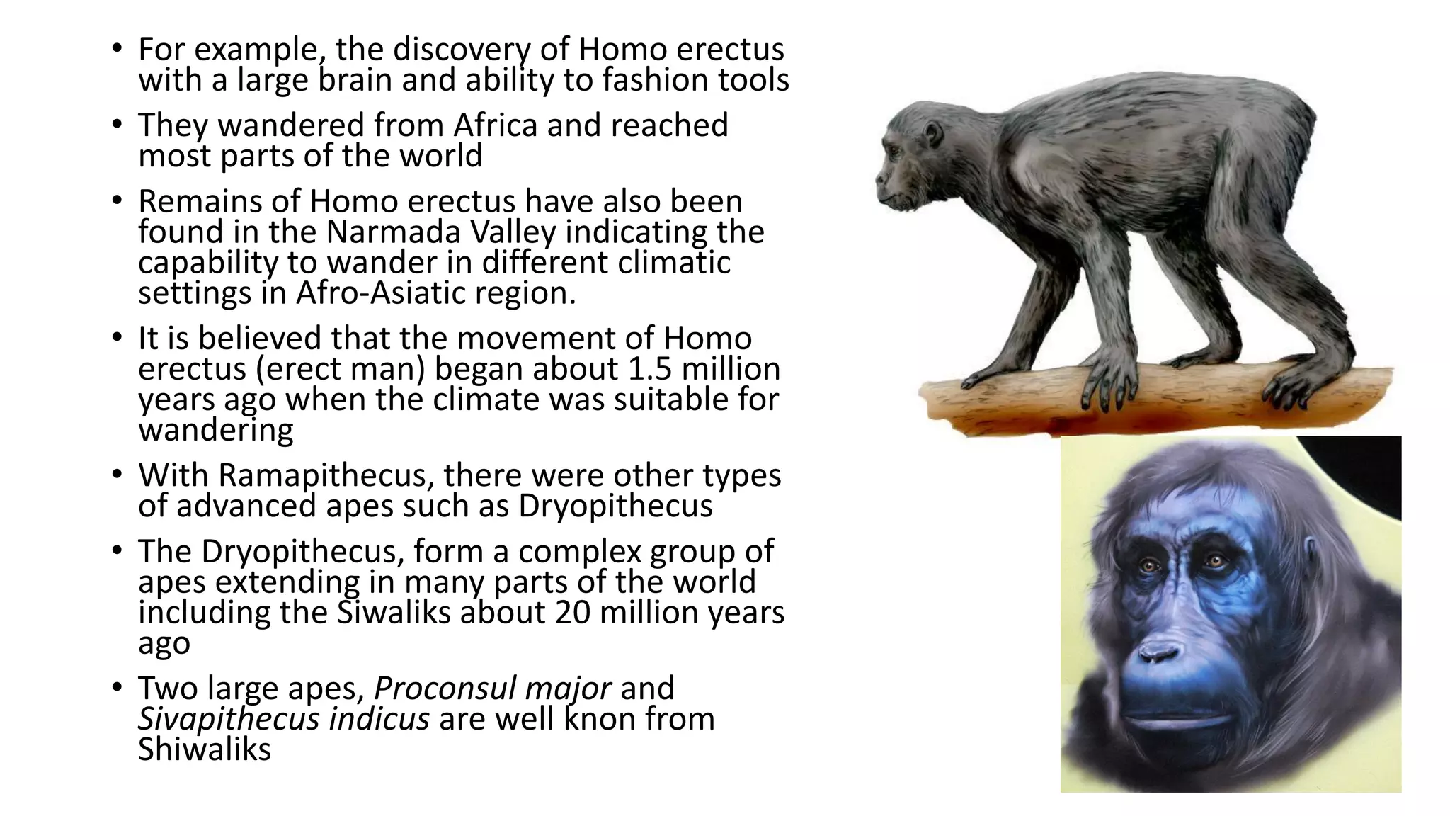 Evolution of man | PDF