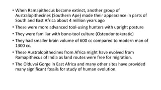 Evolution of man | PDF