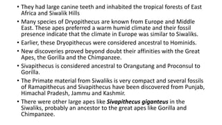 Evolution of man | PDF | Geography | Science
