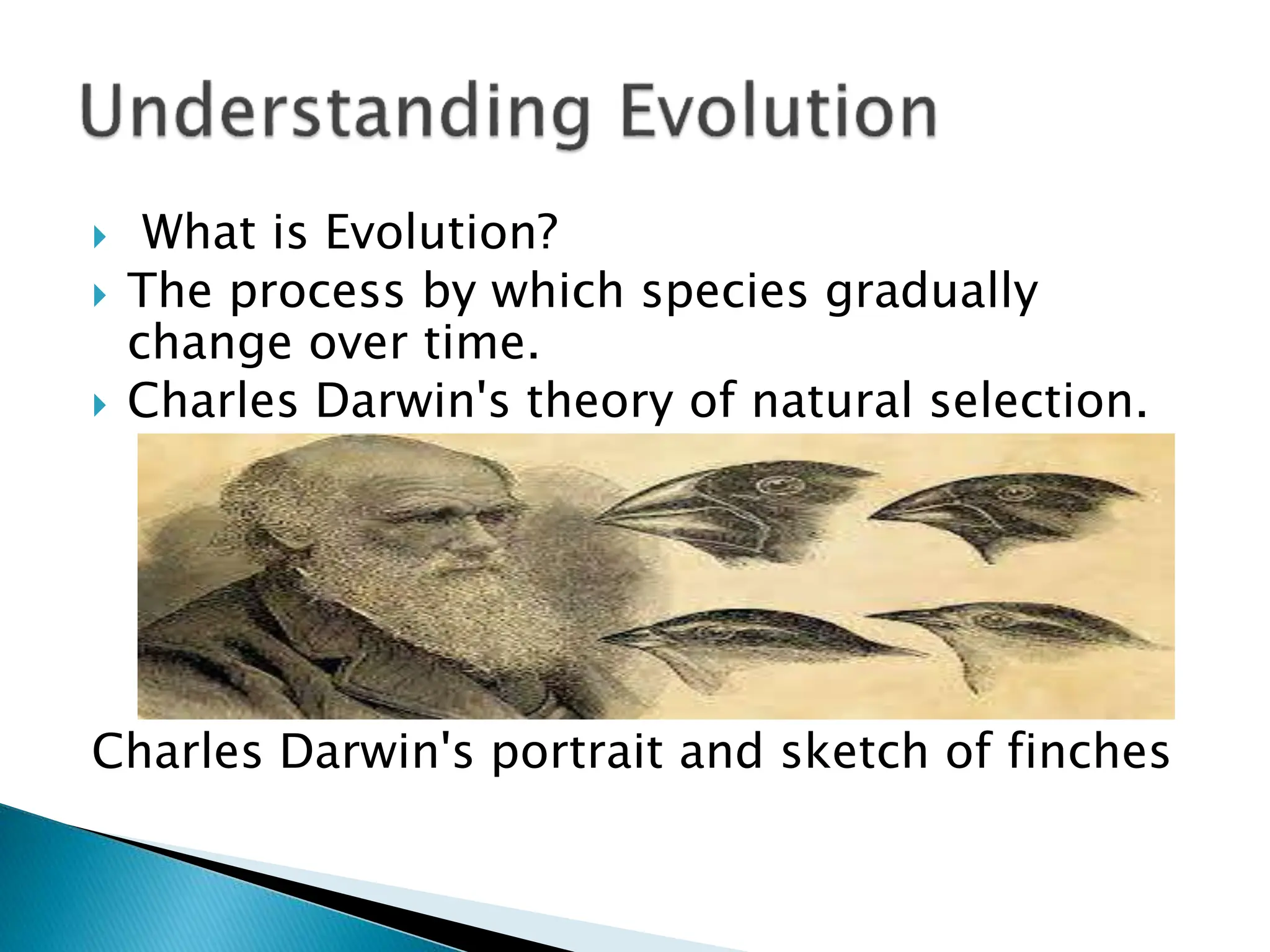 evolution of man darwin theory in detail.pptx