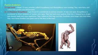 Evolution of Man for m.sc.zoology students .pptx
