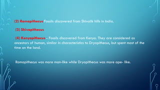 Evolution of Man for m.sc.zoology students .pptx