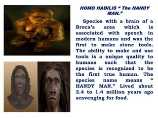Evolution of Man | PPTX
