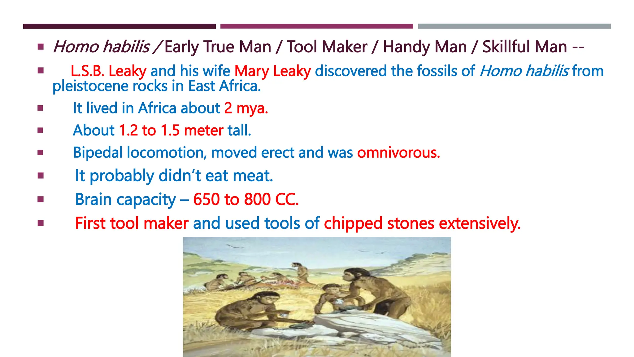 Evolution of man by Sana Bi Ansari M.Sc. I year.pptx