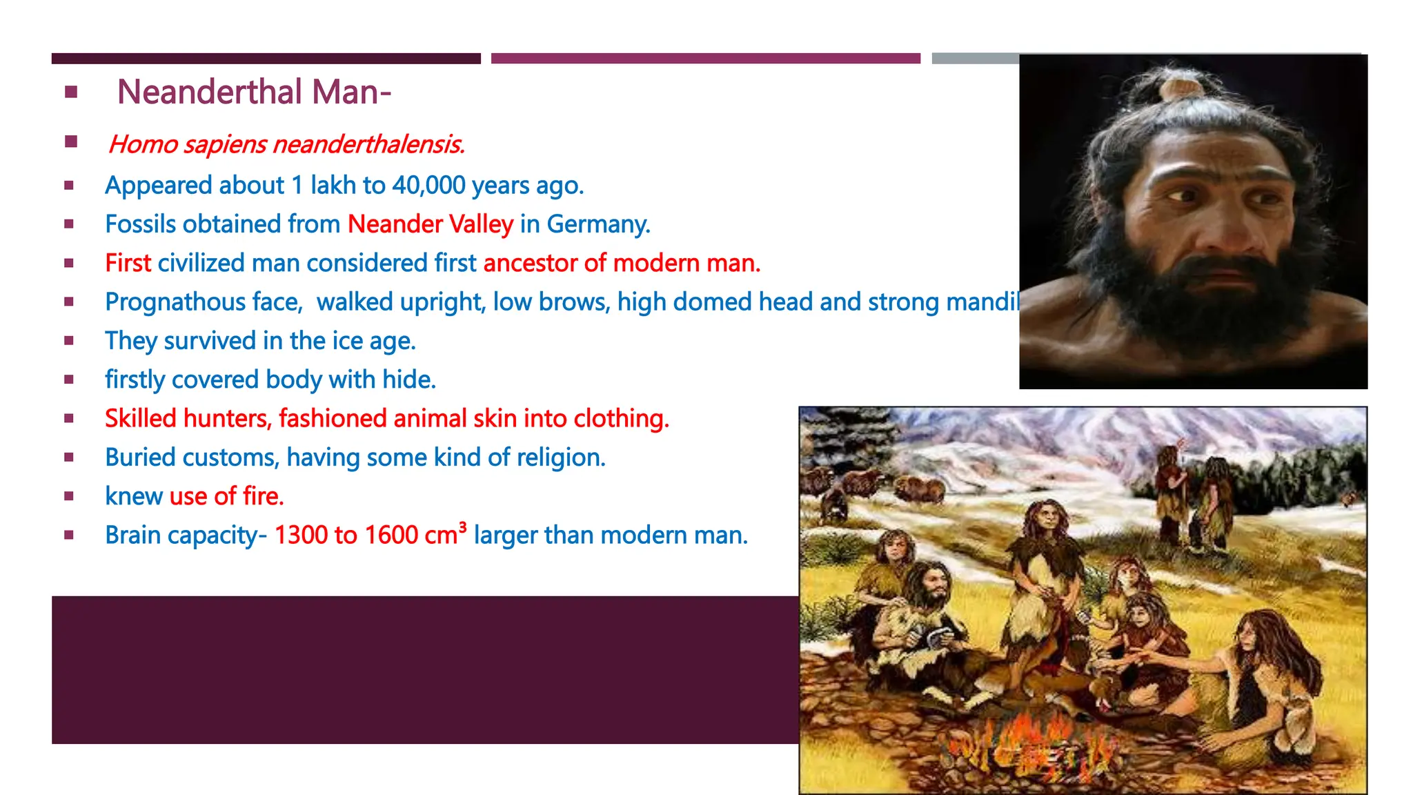 Evolution of man by Sana Bi Ansari M.Sc. I year.pptx