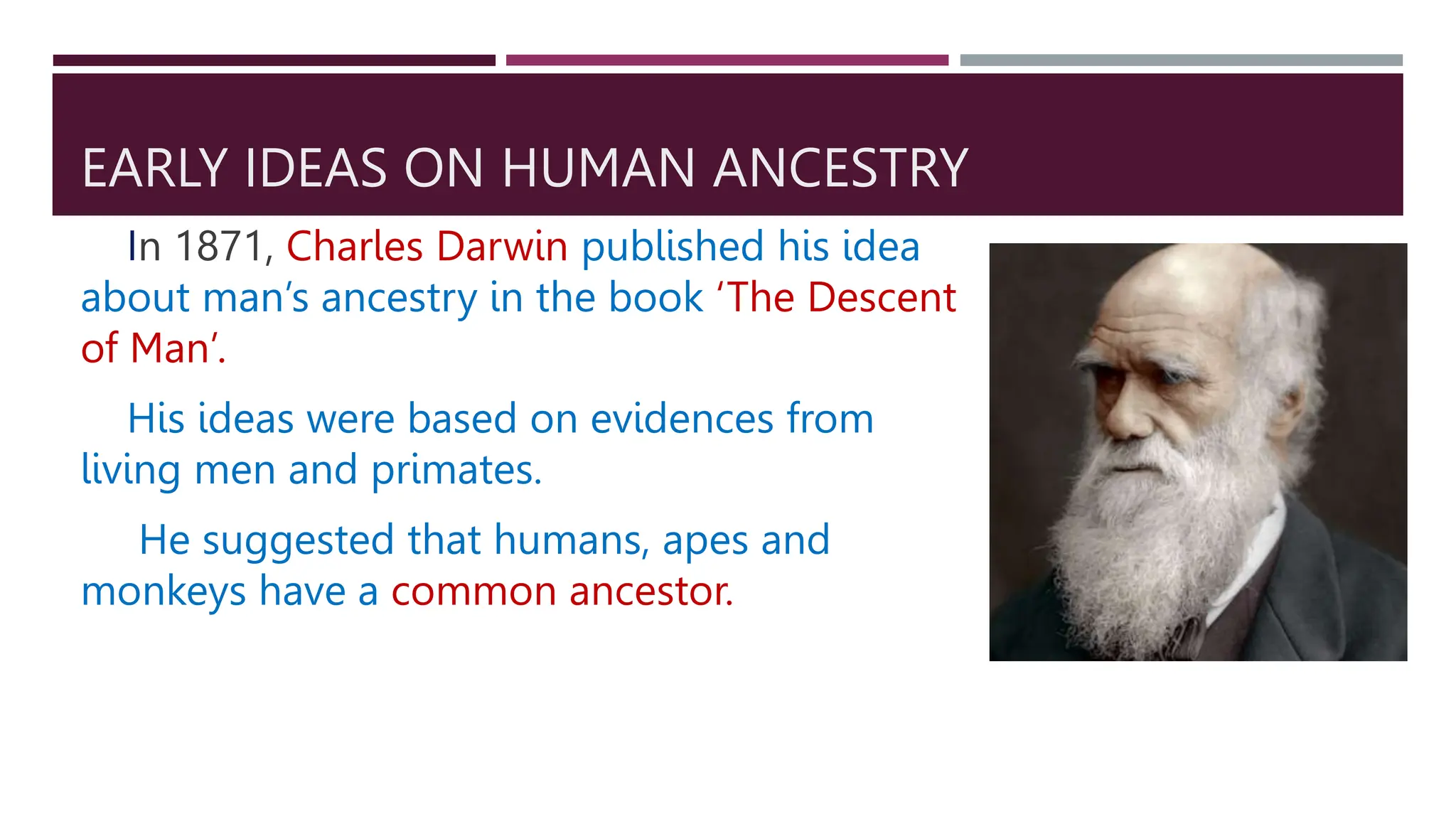 Evolution of man by Sana Bi Ansari M.Sc. I year.pptx