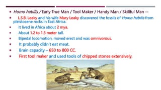 Evolution of man by Sana Bi Ansari M.Sc. I year.pptx