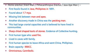 Evolution of man by Sana Bi Ansari M.Sc. I year.pptx