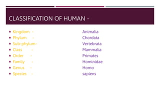 Evolution of man by Sana Bi Ansari M.Sc. I year.pptx