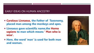 Evolution of man by Sana Bi Ansari M.Sc. I year.pptx