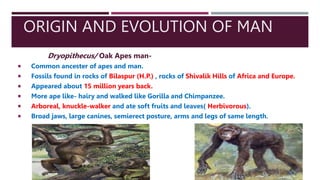 Evolution of man by Sana Bi Ansari M.Sc. I year.pptx