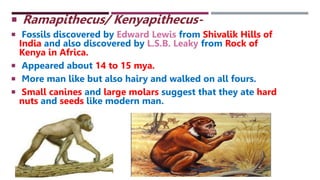 Evolution of man by Sana Bi Ansari M.Sc. I year.pptx | Geology | Science